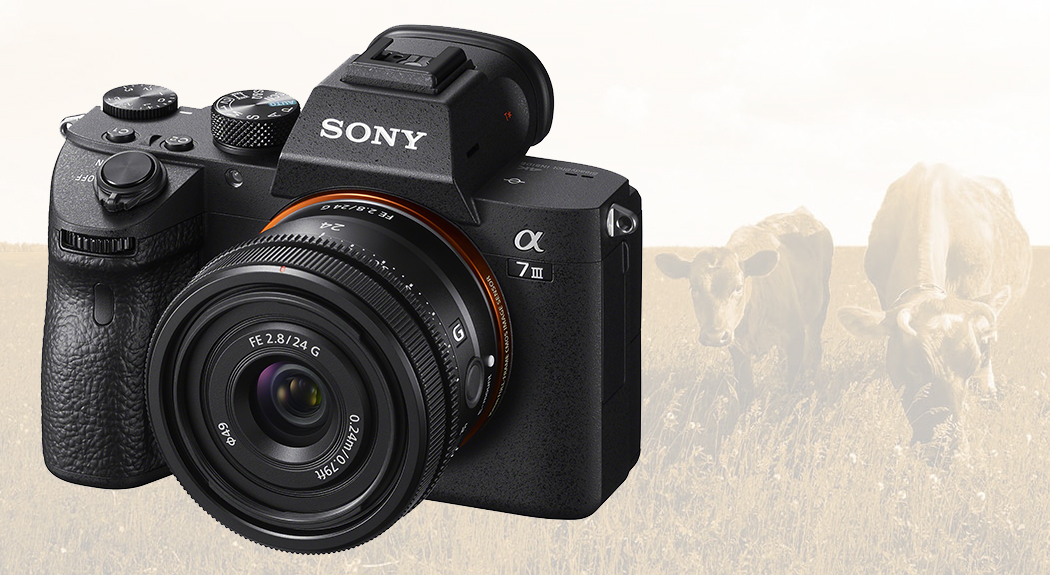 Sony Electronics Introduces Three New High-Performance G Lenses to its ...